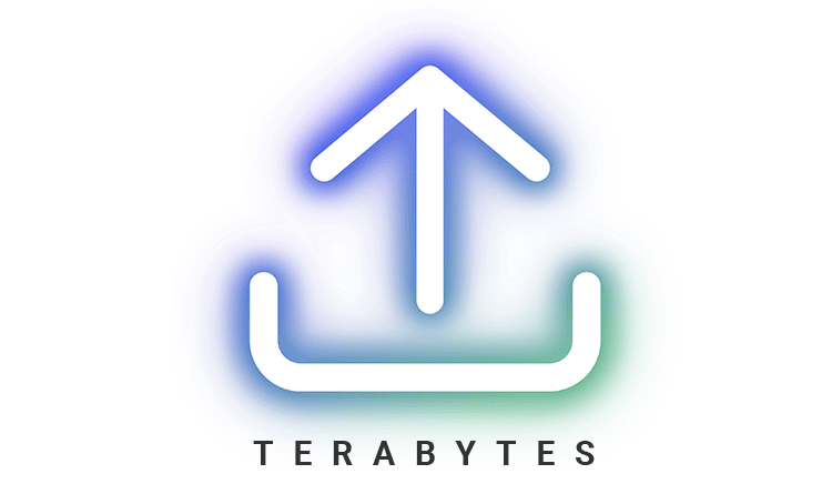 High-Performance SSDs, HDDs, USB Drives, & Memory Cards | Western Digital