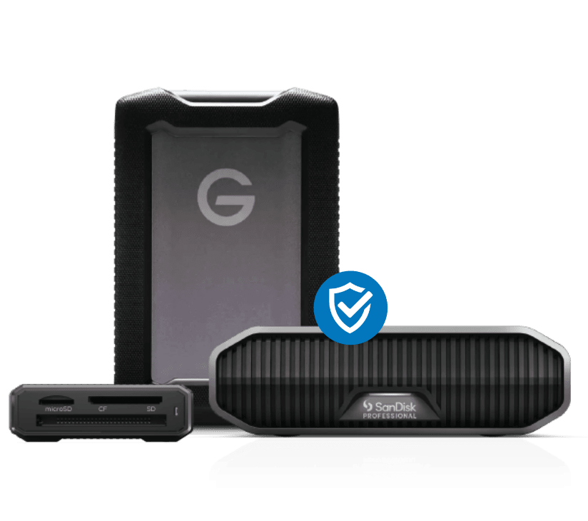 SanDisk Professional | Western Digital