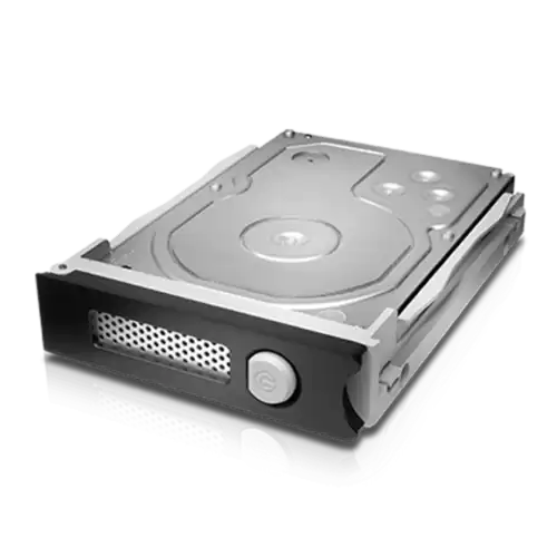 6 TB StudioRAID Module | Western Digital