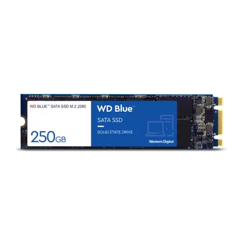 250GB M.2 2280 WD Blue™ SATA SSD | Western Digital