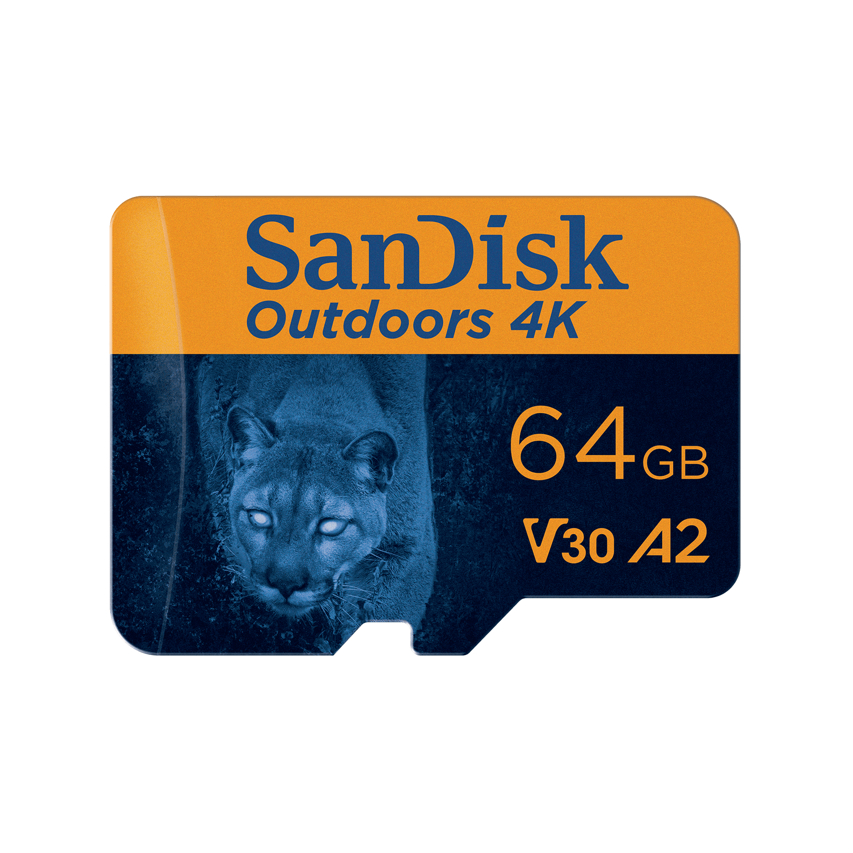 SanDisk Outdoors 4K MicroSDXC UHS I Card With SD Adapter Western Digital SanDisk Outdoors 4K MicroSDXC UHS I Card With SD Adapter Western Digital